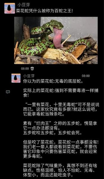 菜花蛇进家里是什么预兆_菜花蛇进屋吉凶解析-第3张图片-山城妙识