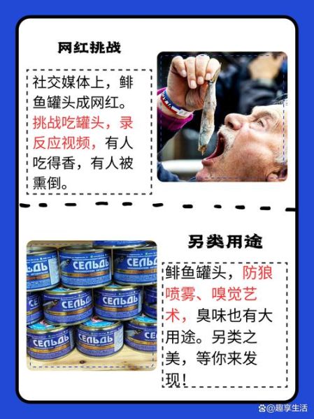 鲱鱼罐头为什么这么臭_如何正确打开-第1张图片-山城妙识