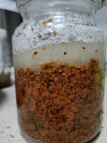 糖桂花事件真相_糖桂花还能吃吗-第2张图片-山城妙识