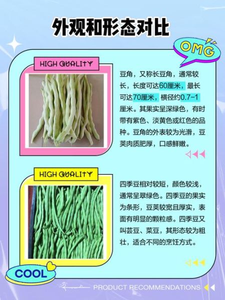 豆角有哪些品种_如何区分四季豆与豇豆-第2张图片-山城妙识