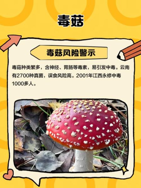 世界十大致命毒蘑菇有哪些_中毒后还能救吗-第2张图片-山城妙识