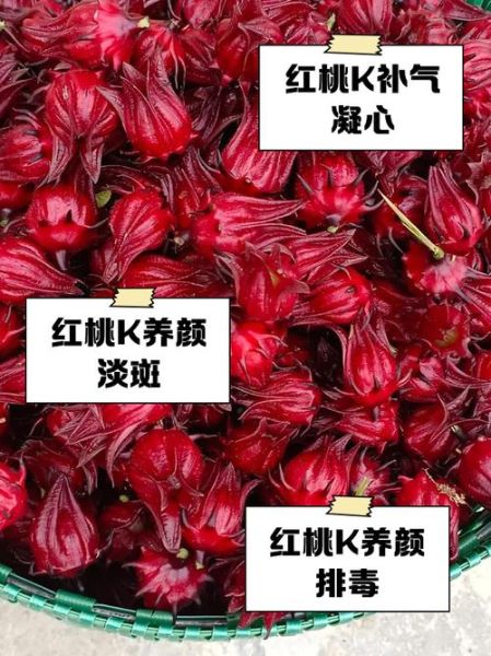 红桃k酒的功效与作用_红桃k酒怎么泡才正确-第2张图片-山城妙识