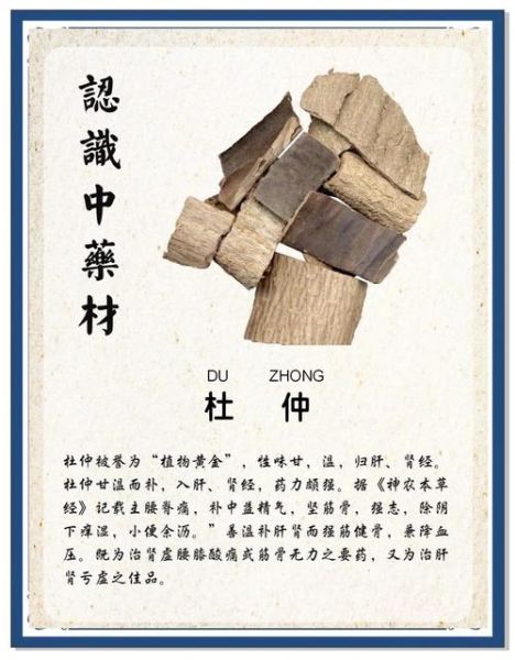 长期吃杜仲有什么害处_杜仲长期服用的副作用-第1张图片-山城妙识