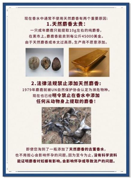 麝香的功效与作用价格_麝香多少钱一克-第1张图片-山城妙识