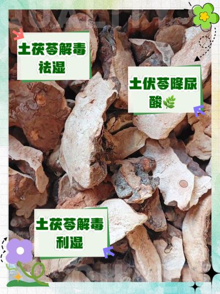 土茯苓的功效与作用_土茯苓主治哪些病-第2张图片-山城妙识