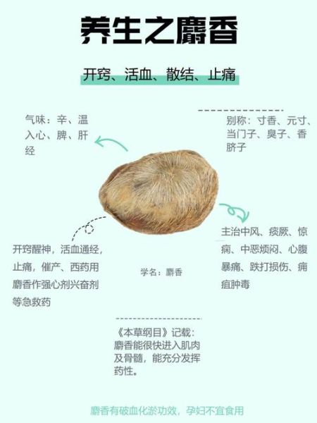 麝香的功效与作用价格_麝香多少钱一克-第3张图片-山城妙识