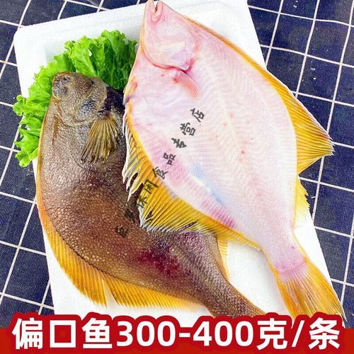 鲽鱼和偏口鱼是一种鱼吗_区别与选购指南-第2张图片-山城妙识
