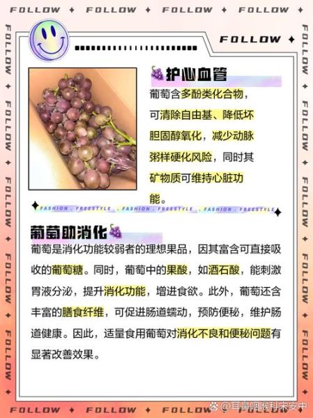 葡萄的功效与作用有哪些_吃葡萄有什么好处-第2张图片-山城妙识