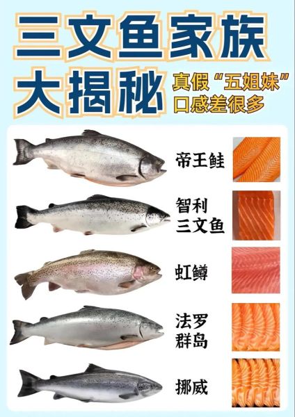 鲑鱼之乱是什么_鲑鱼之乱影响有哪些-第1张图片-山城妙识