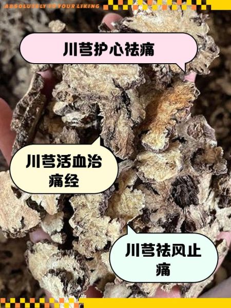 酒川芎的功效与作用_酒川芎和川芎区别-第3张图片-山城妙识