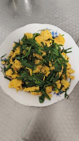 蒜苗炒鸡蛋隔夜能吃吗_如何正确保存-第1张图片-山城妙识