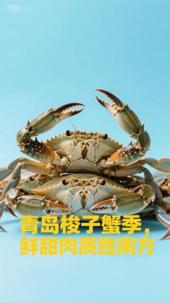 青岛梭子蟹多少钱一斤_2024最新价格行情-第3张图片-山城妙识