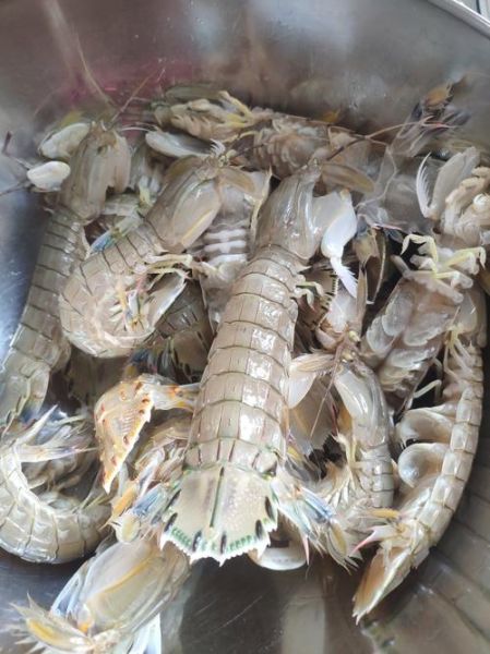 虾爬子冷水蒸还是热水蒸_冷水蒸虾爬子几分钟-第1张图片-山城妙识