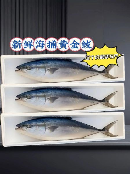 黄金鲅鱼怎么做好吃_黄金鲅鱼家常做法大全-第2张图片-山城妙识