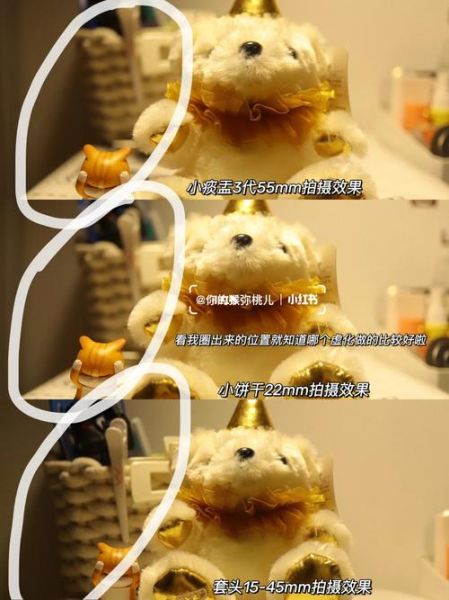 饼干头和小痰盂的区别_哪个更适合新手-第2张图片-山城妙识 饼干头和小痰盂的区别_哪个更适合新手-第2张图片-山城妙识