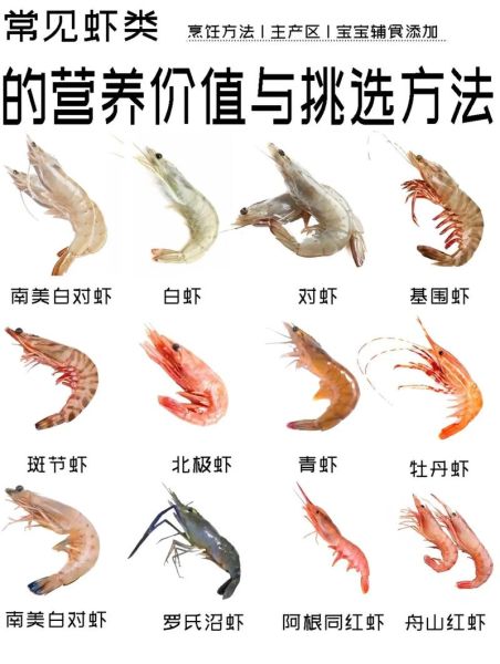 对虾吃什么食物_对虾饲料怎么选-第3张图片-山城妙识 对虾吃什么食物_对虾饲料怎么选-第3张图片-山城妙识