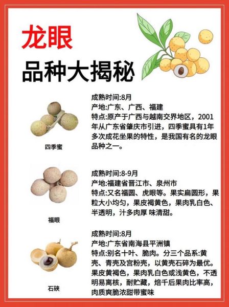 荔枝和桂圆的区别_哪个更上火-第2张图片-山城妙识