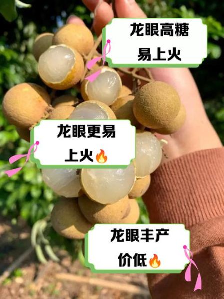 荔枝和桂圆的区别_哪个更上火-第3张图片-山城妙识
