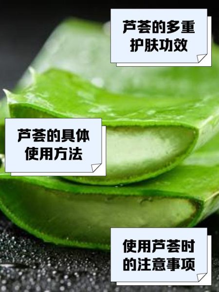 芦荟涂脸的正确方法_芦荟直接涂脸会不会过敏-第1张图片-山城妙识