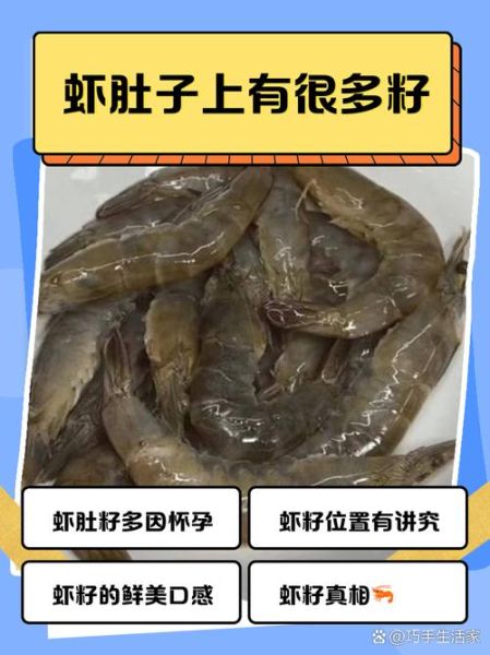 虾肚子密密麻麻的小颗粒是什么_虾肚子小颗粒能吃吗-第1张图片-山城妙识