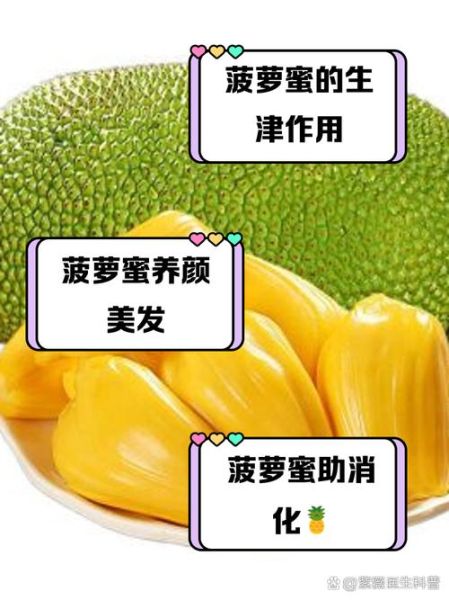 菠萝蜜的功效与作用有哪些坏处_过量食用会胖吗-第2张图片-山城妙识 菠萝蜜的功效与作用有哪些坏处_过量食用会胖吗-第2张图片-山城妙识