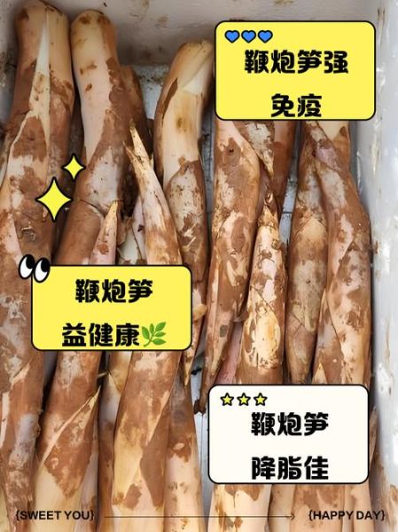 鞭笋什么季节才有_鞭笋几月份采摘最好-第2张图片-山城妙识 鞭笋什么季节才有_鞭笋几月份采摘最好-第2张图片-山城妙识
