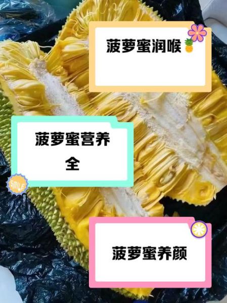 菠萝蜜的功效与作用有哪些坏处_过量食用会胖吗-第3张图片-山城妙识 菠萝蜜的功效与作用有哪些坏处_过量食用会胖吗-第3张图片-山城妙识