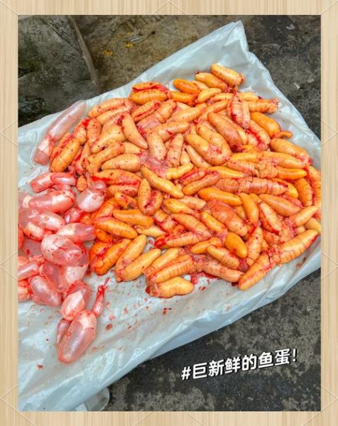鱼卵最简单的做法大全_鱼卵怎么做好吃又简单-第2张图片-山城妙识