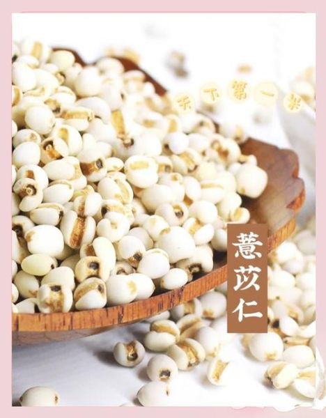 薏米可以天天吃吗_薏米的药用价值有哪些-第3张图片-山城妙识
