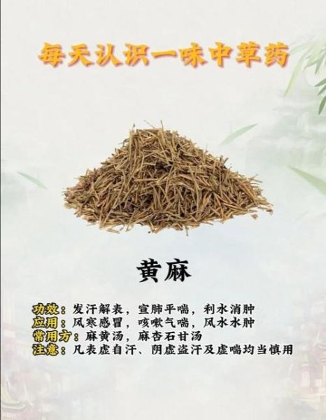 麻黄草的功效与作用_麻黄草种植方法-第1张图片-山城妙识