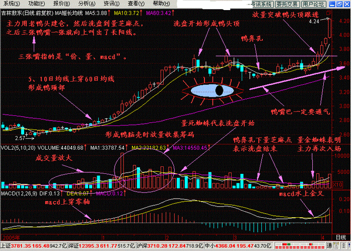 老鸭头形态图解_主升浪怎么抓-第3张图片-山城妙识