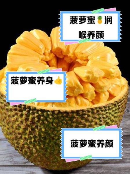 菠萝蜜的营养价值高吗_吃菠萝蜜有什么好处-第1张图片-山城妙识