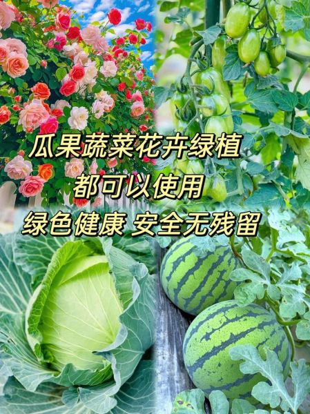 食用小苏打怎么用_食用小苏打用量多少合适-第3张图片-山城妙识