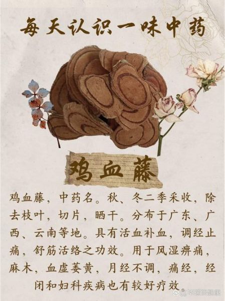 鸡血藤怎么吃效果好_鸡血藤的正确吃法-第3张图片-山城妙识 鸡血藤怎么吃效果好_鸡血藤的正确吃法-第3张图片-山城妙识