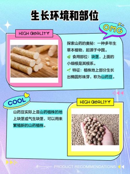 山药豆是山药的种子吗_山药豆和山药种子的区别-第1张图片-山城妙识