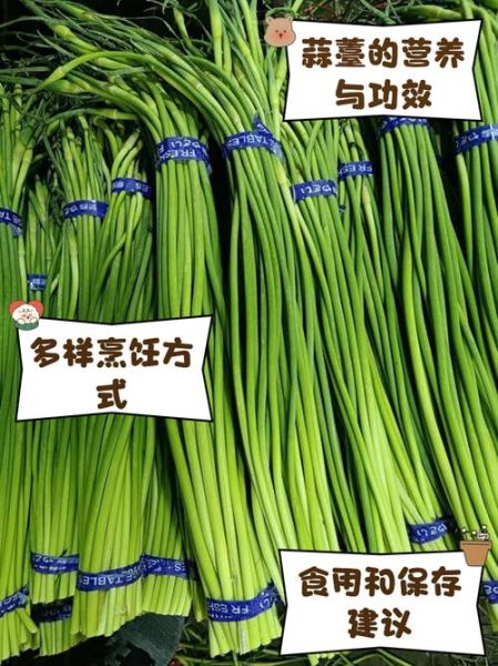 蒜薹的功效与作用_蒜薹的禁忌人群有哪些-第3张图片-山城妙识 蒜薹的功效与作用_蒜薹的禁忌人群有哪些-第3张图片-山城妙识
