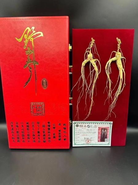 野山参多少钱一克_野山参价格为什么差别大-第2张图片-山城妙识