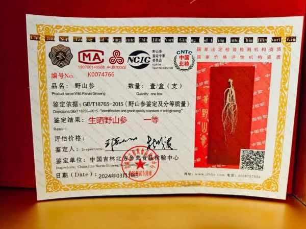 野山参多少钱一克_野山参价格为什么差别大-第3张图片-山城妙识