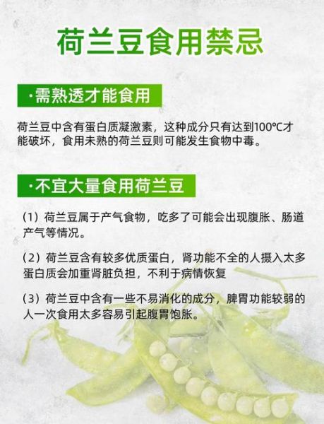 荷兰豆的营养价值_荷兰豆的功效与作用-第1张图片-山城妙识