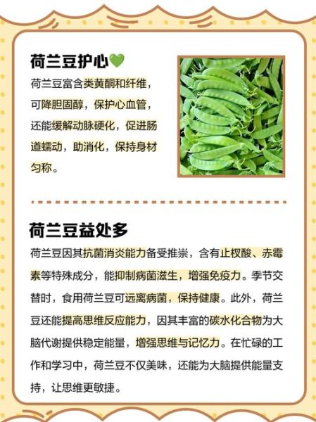 荷兰豆的营养价值_荷兰豆的功效与作用-第3张图片-山城妙识