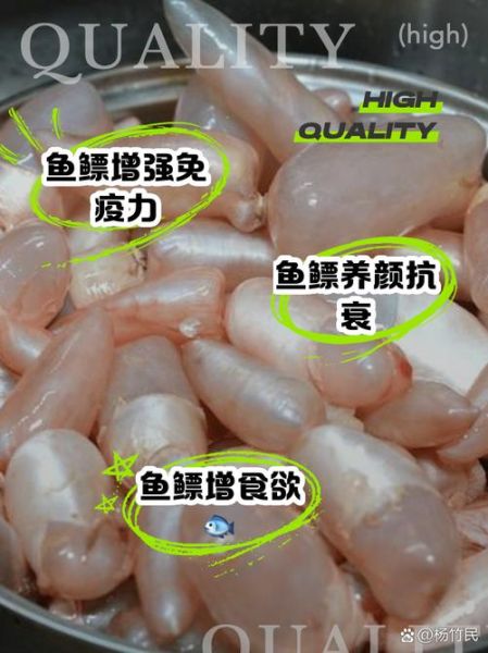 鱼鳔珠的功效与作用_鱼鳔珠怎么吃效果最好-第1张图片-山城妙识