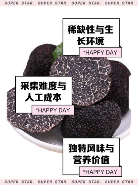 黑松露多少钱一斤_黑松露价格为什么这么贵-第1张图片-山城妙识