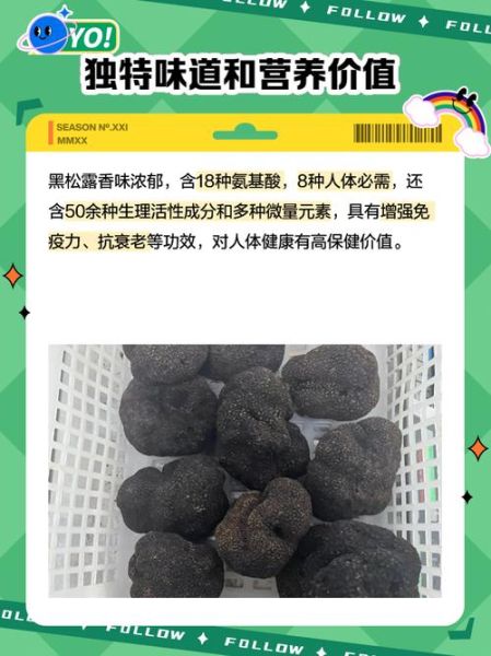 黑松露多少钱一斤_黑松露价格为什么这么贵-第2张图片-山城妙识
