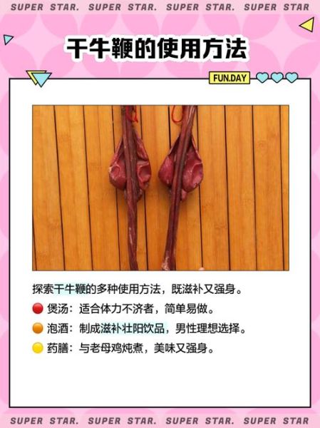 牛鞭是什么_牛鞭的功效与作用-第3张图片-山城妙识