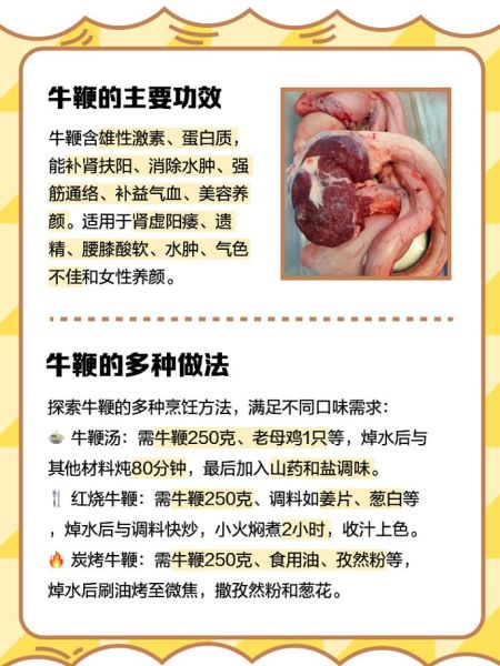 牛鞭是什么_牛鞭的功效与作用-第1张图片-山城妙识