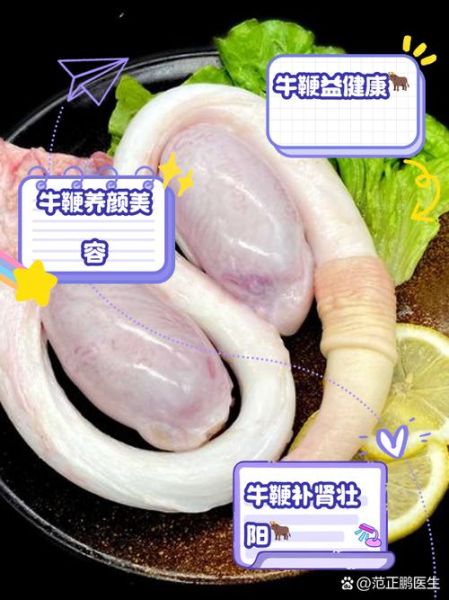 牛鞭是什么_牛鞭的功效与作用-第2张图片-山城妙识