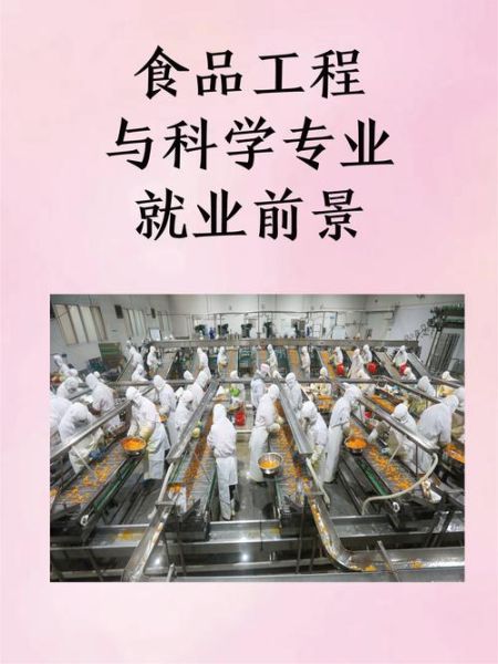 食品科学与工程就业前景怎么样_毕业后能做什么工作-第1张图片-山城妙识