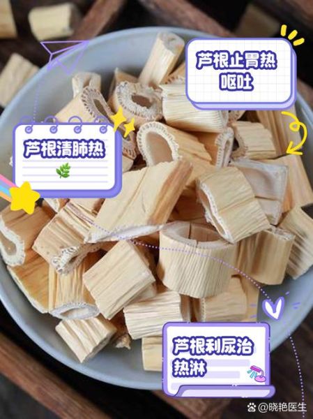 鲜芦根的功效与作用_鲜芦根怎么泡水喝-第3张图片-山城妙识