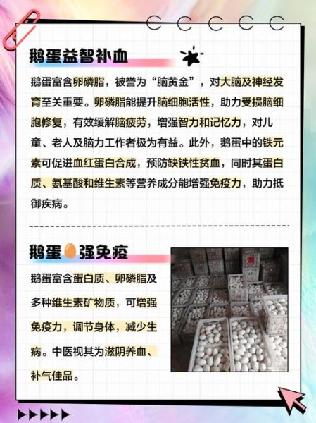 早上吃水煮鹅蛋有什么好处_水煮鹅蛋营养价值高吗-第2张图片-山城妙识