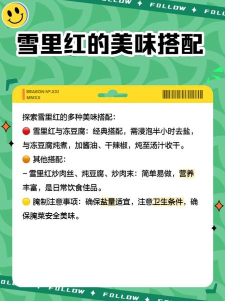 雪里红菜怎么腌制_雪里红菜的营养价值-第1张图片-山城妙识